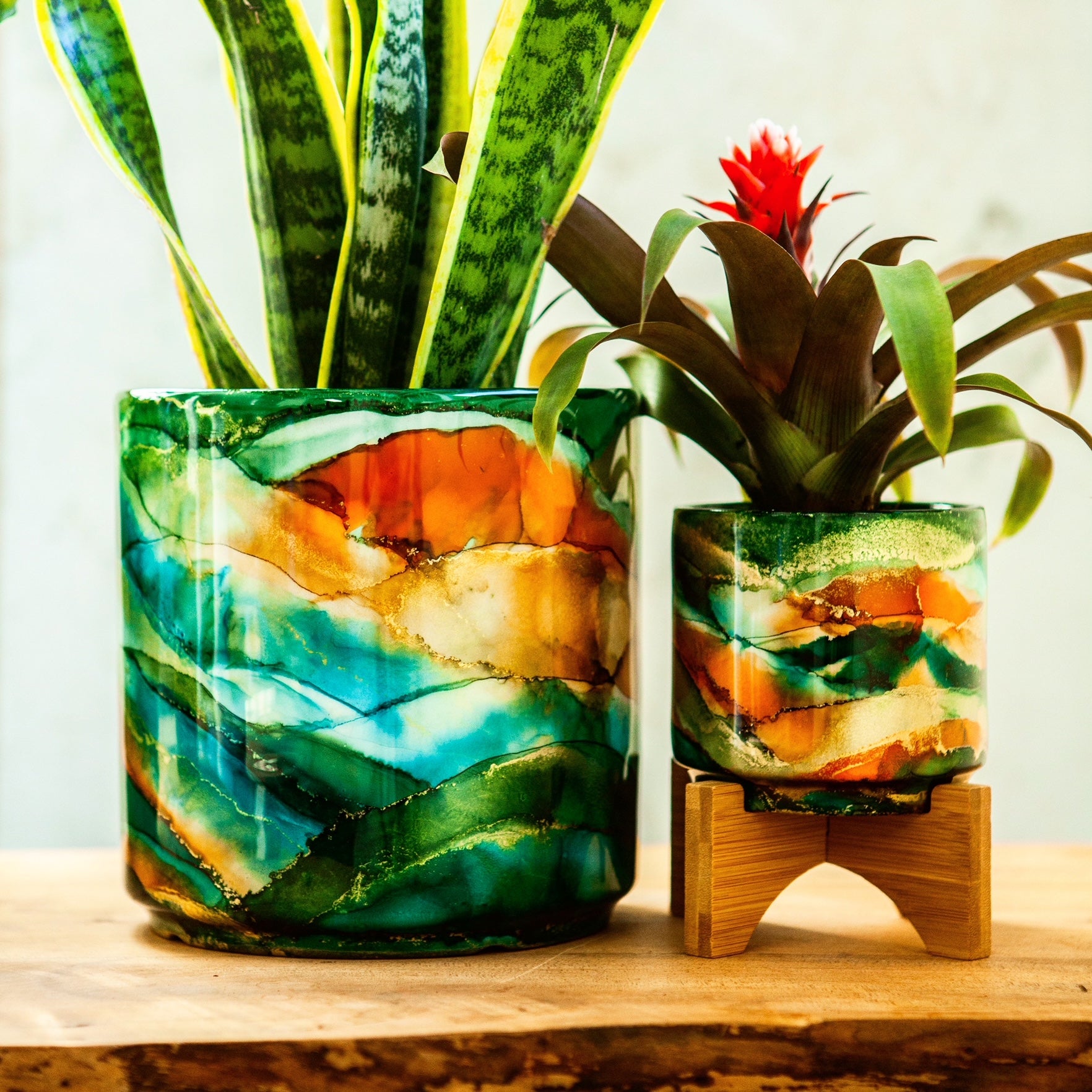 Fall Harvest – plantaby.us